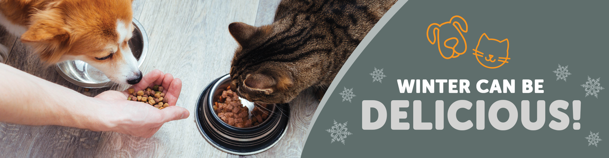 Global Pet Foods » Winter in the Air! With Global Pet Foods!